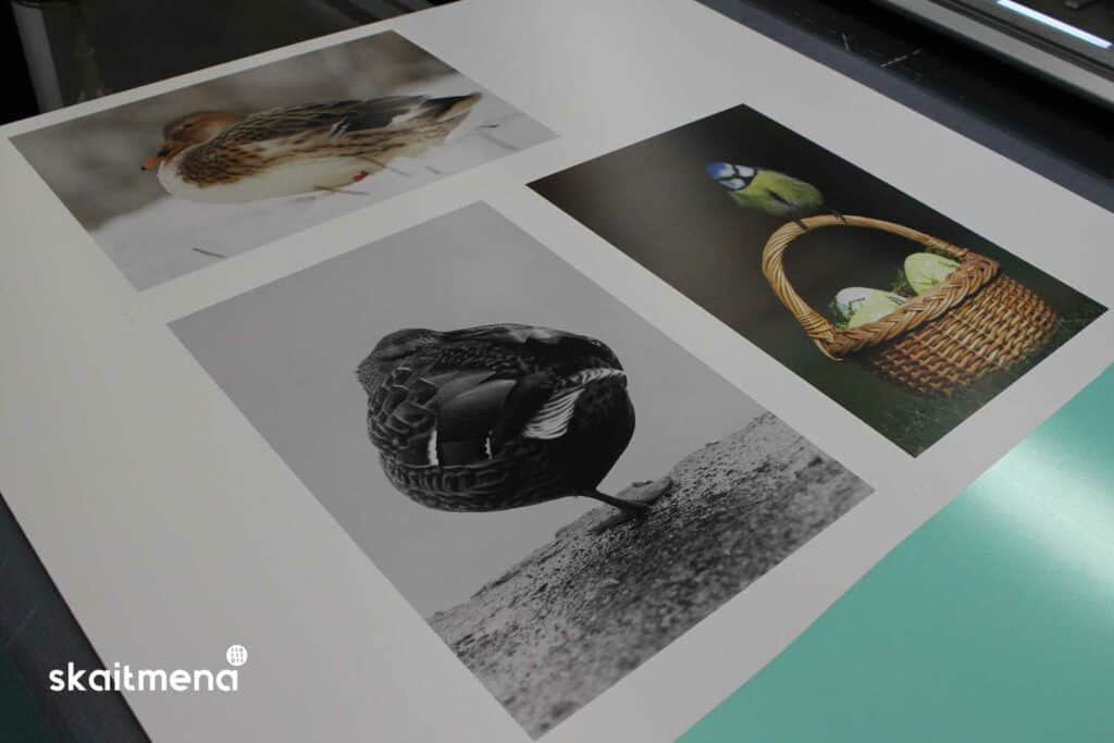 Spauda ant PVC plastiko | Skaitmena